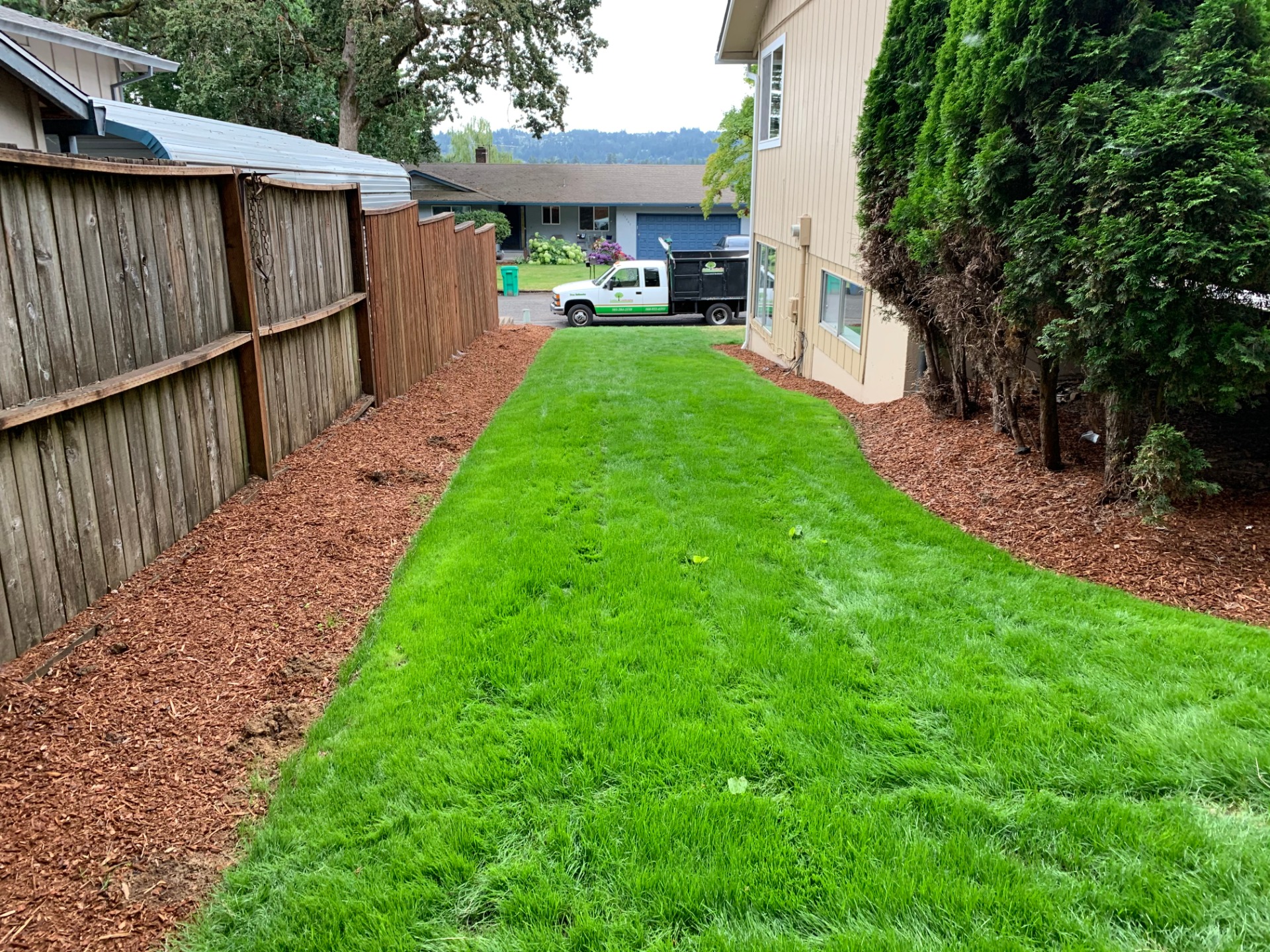 Best lawn dethatching service in Portland OR | My Green Pros | Portland ...